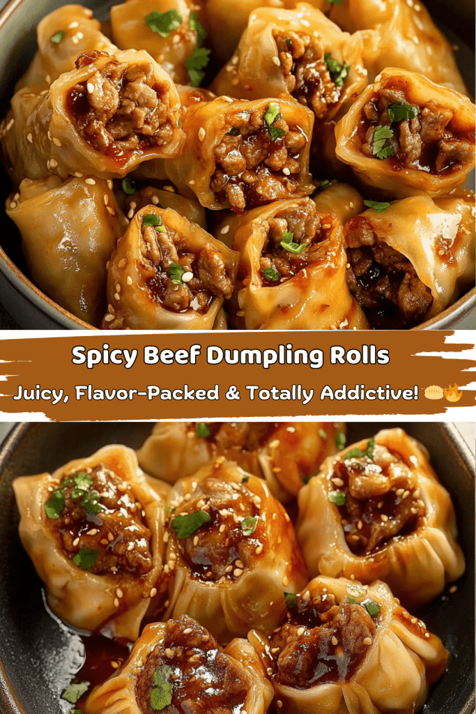 Spicy Beef Dumpling Rolls - Tasty Chow